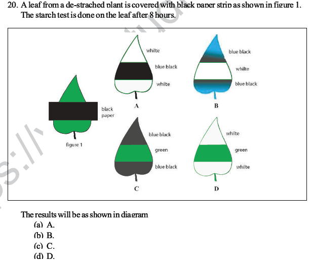 CBSE Class 10 Science MCQs Set 3 with Answers CBSE Class 10 Science MCQs Set 3 with Answers